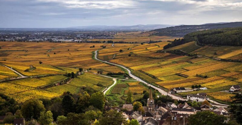 Small group Afternoon in Côte de Nuits - Final Thoughts: Is It Worth It?