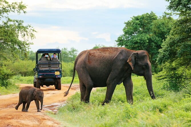 Small Group Galle Fort City Walking Tour - FAQs