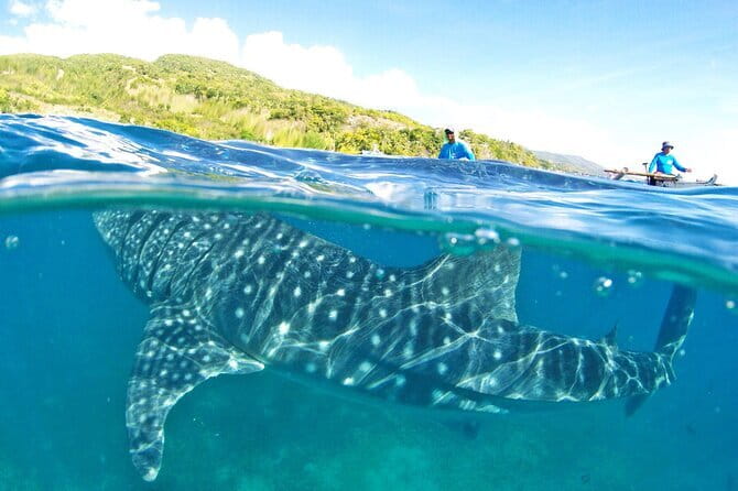 Small Group Moalboal and Badians Ultimate Adventure Tour - FAQs