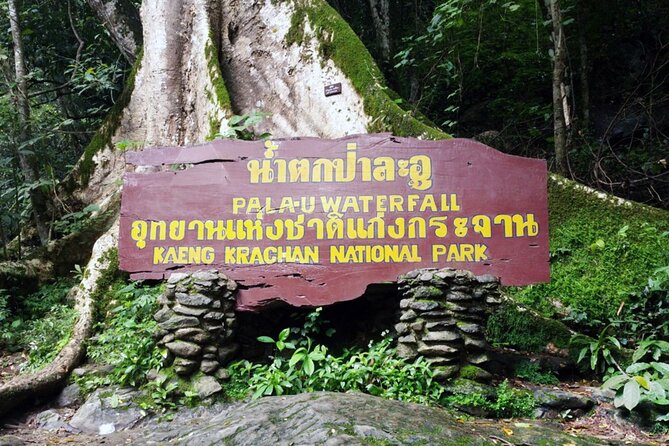 Small-Group Pala U Waterfall Jungle Tour from Hua Hin - Final Thoughts