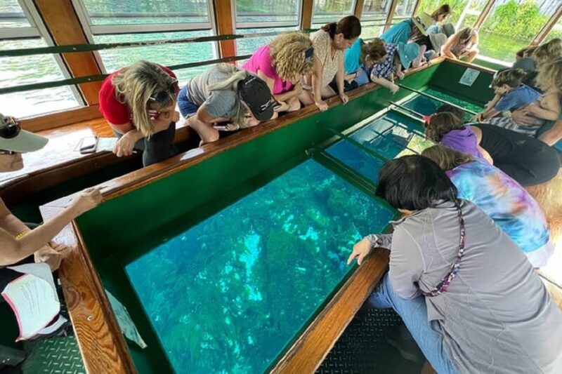 Small Group Silver Springs State Park Day Tour from Orlando - The Value of This Tour
