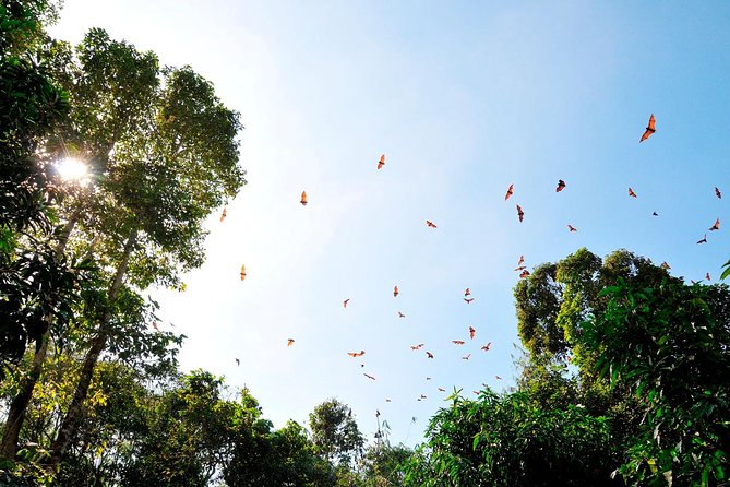 Small-Group Tour to Can Gio Vam Sat Mangrove Forest - FAQs