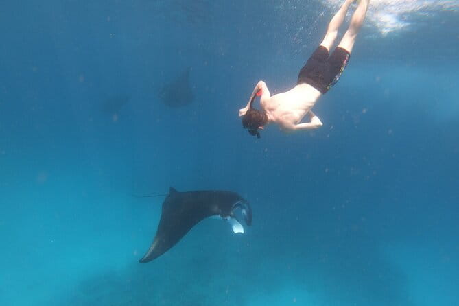 Snorkeling Day Trip to Nusa Lembongan and Nusa Penida - FAQ