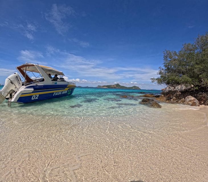 Snorkeling Full Day Experience from Bangkok - Final Thoughts