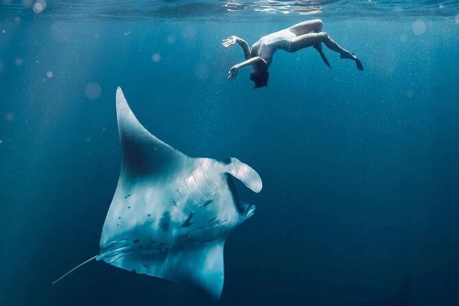 Snorkeling Manta Rays and Land Tour Nusa Penida  All-Included - Additional Snorkeling Spots