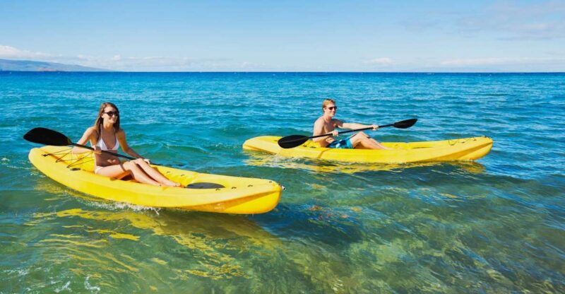 South Maui: Premium Turtle Town Kayak and Snorkel Tour - Analyzing the Value