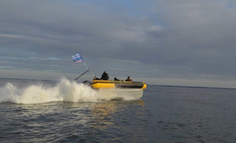 Speedboat trip around Sète - Who Will Get the Most Out of This Experience