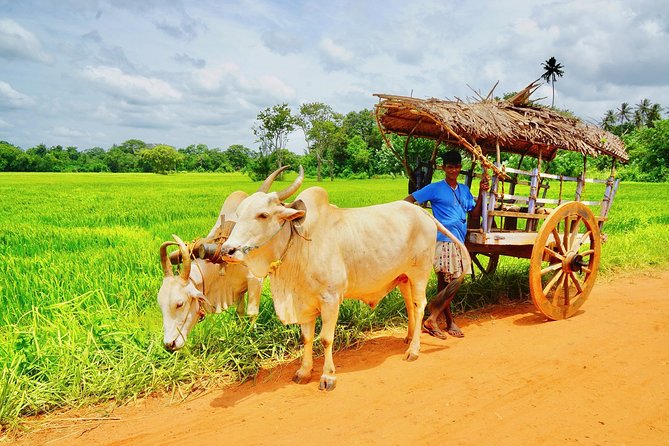 Sri Lanka Travel in 08 Nights 09 Days - Authentic Experiences and Hidden Gems