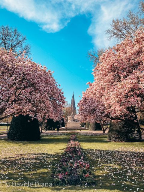 Strasbourg: Guided Historical Neighborhoods Walking Tour - Final Thoughts