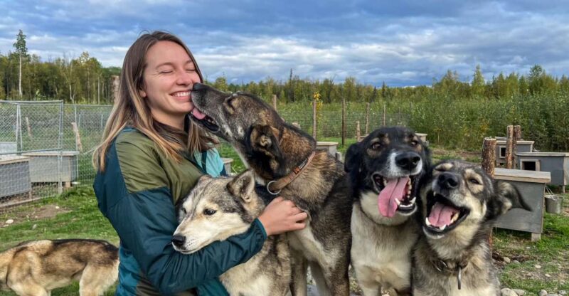 Summer Sled Dog Kennel Tour - The Itinerary: What to Expect