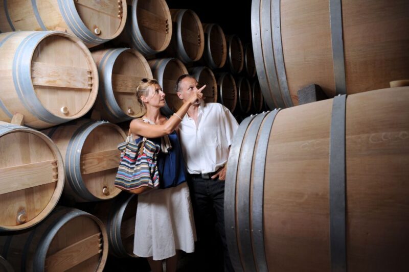 Taillan-Médoc: Château Visit and Wine Tasting in Bordeaux - Who Will Love This Tour?