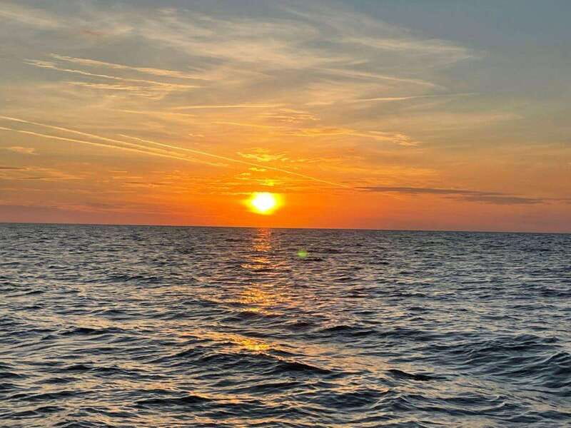 Tampa Bay: Sunset Cruise with Celebrity Homes and Wildlife - Final Thoughts: Is This Cruise Worth It?