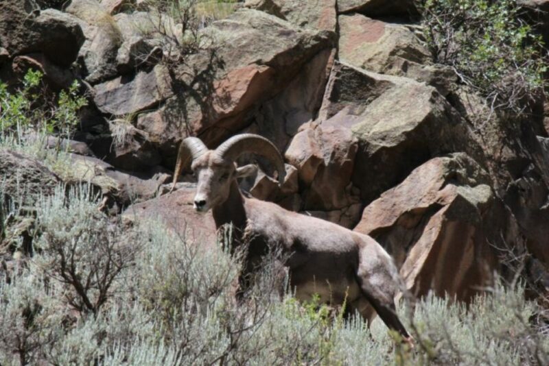 Taos/Santa Fe: Rio Grande Half-Day Float Trip - Practical Details to Keep in Mind