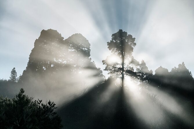 Tenerife Landscape Photography Workshops 10 hours - Price and Value – Is It Worth It?