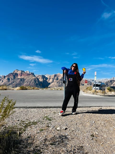 Tesla Self Guided Red Rock Canyon Loop Tour - Who Should Consider This Tour?