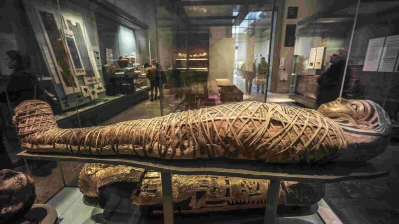 The British Museum London: Private Guided Tour - 3 hour - Why the Private Guide Makes a Difference