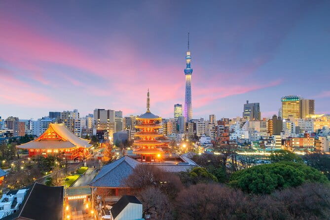 Tokyo Baseball or Soccer Match with a Local Fan(with TICKET) - Who Will Love This Experience?