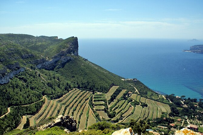 Toulon and Surroundings - 7hour tour - What the Price Gets You
