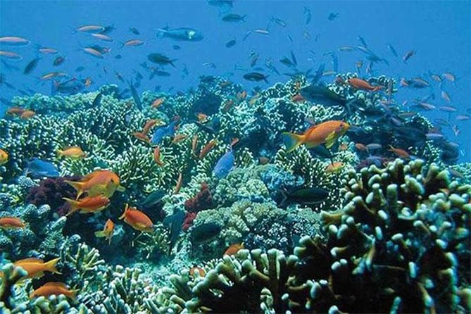 Tour Gate of Heaven at Lempuyang Temple - Blue Lagoon Snorkeling with lunch - Final Thoughts