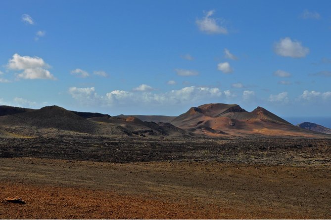 Tour Lanzarote South with Winery Visit - Who Will Love This Tour?