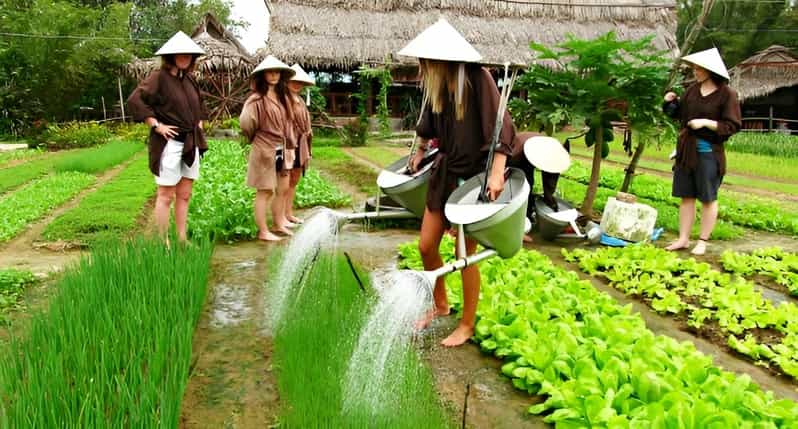 Tra Que Village Vegetable Farm Experience by Bike - Cooking Class and Farm-Fresh Meal