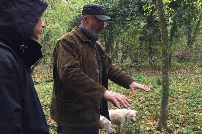 Truffle hunt, Lunch, Horse riding, a top half-day near Florence - Authenticity and Visitor Feedback