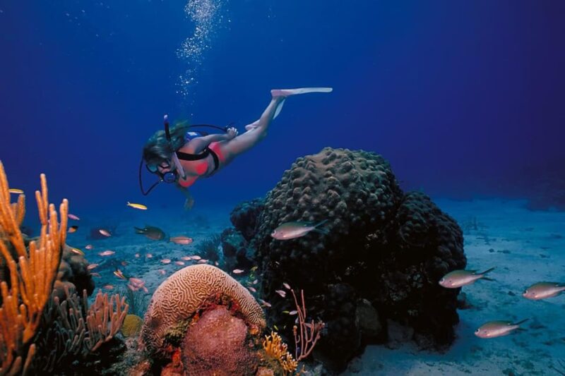 Try Scuba Diving in Racha Yai/noi: 3 Dives for Non-Certified - A Closer Look at the Itinerary
