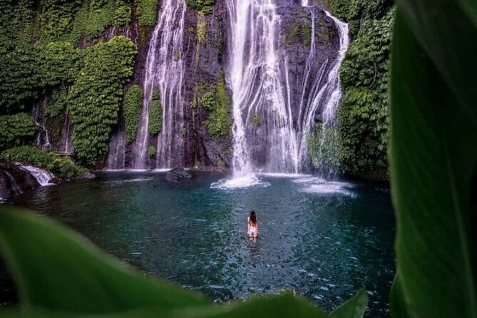 Ubud Full Day - Monkey Forest, Temple and Waterfalls Tour - Who Should Consider This Tour?