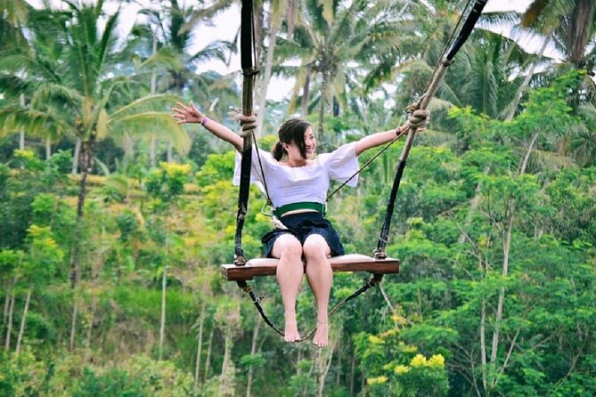 Ubud Private Tour : Ubud Temple and Authentic of Ubud - Transportation and Comfort