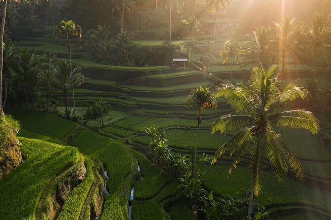 Ubud Tour Water Temple with Jungle Swing - Practical Considerations