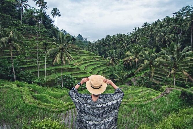 Ubud Trip, The Best of Ubud in a day - All Inclusive - The Value Question