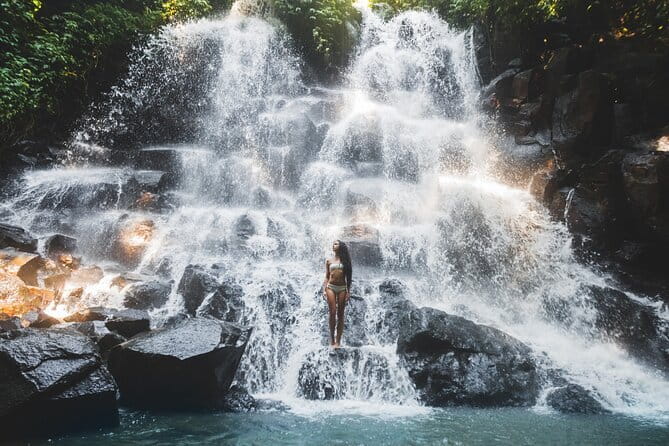 Ubud Waterfalls, Rice Terrace and Jungle Swing Tour - What’s Included and What’s Not