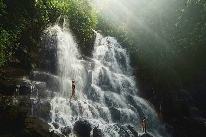 Ubud Waterfalls, Temple and Rice Terrace - Private Tour - The Reviews Speak for Themselves