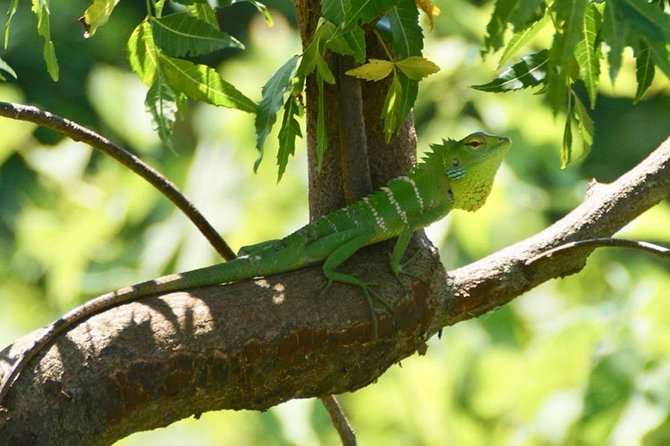 Udawalawa National Park half day Safari - Final Thoughts