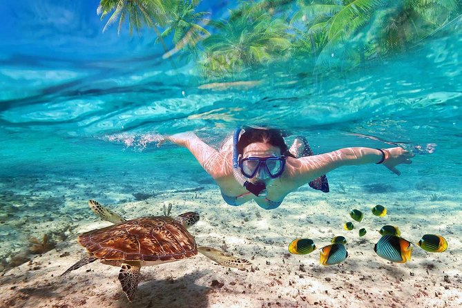 V.I.P Snorkeling & Fishing Tour ( Speed Boat ) Minimum 02 people - Final Thoughts on the Experience