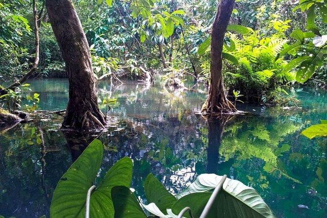 Vam Sat Mangrove Forest - VIP Private Tour from Ho Chi Minh City - The Sum Up