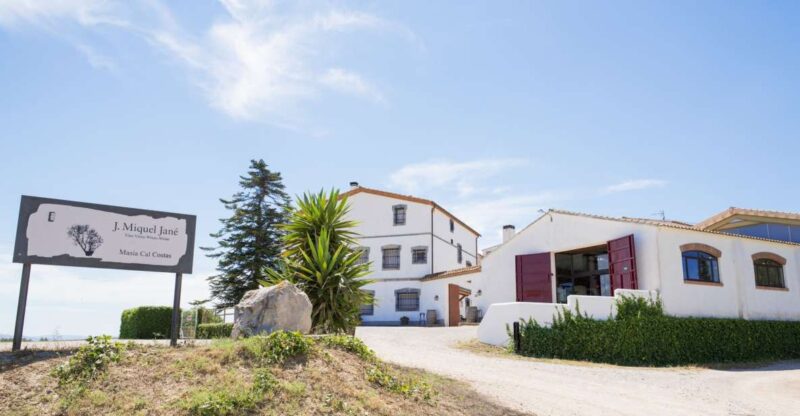 Vilafranca del Penedès: Winery Visit with Tastings - Analyzing the Value: Price and Experience