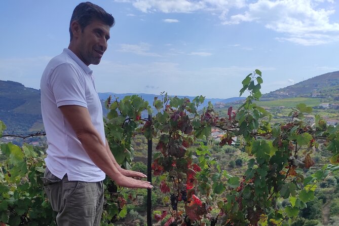 Vinho Verde Experience - Private & Exclusive - FAQ