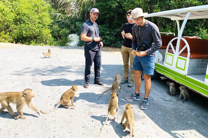 VIP Tour to Can Gio Mangrove Forest by Speed Boat - Exploring the Mangroves and Wetlands