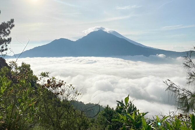Volcano Bali Tour with Ubud Village - Tegenungan Waterfall - Rice Terrace - Who Is This Tour Best For?