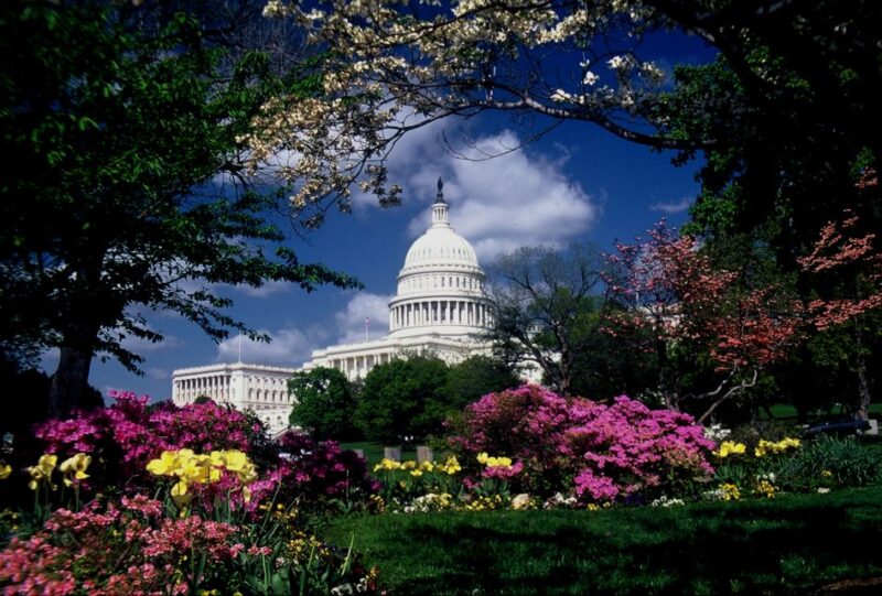 Washington, DC: Monuments and Memorials Photography Lesson - The Sum Up