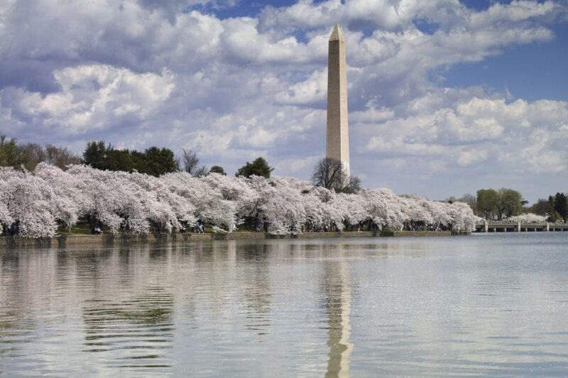 Washington DC: Must See Sights Half-Day Tour - Authentic Experiences from Fellow Travelers