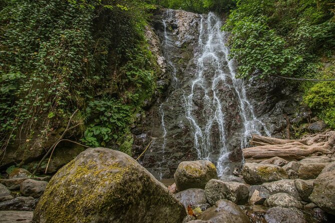 Wine and Dine Tour To Batumi Waterfalls - Mountainous Adjara - Who Should Consider This Tour?
