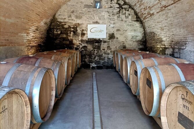 Wine Tasting Experience in Ponte Vecchio: Best Tuscany selection! - Final Thoughts