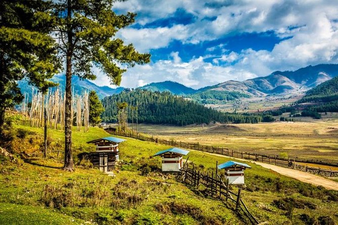 Wonderful Bhutan Tour- 8 Nights 9 Days - What Could Be Better?