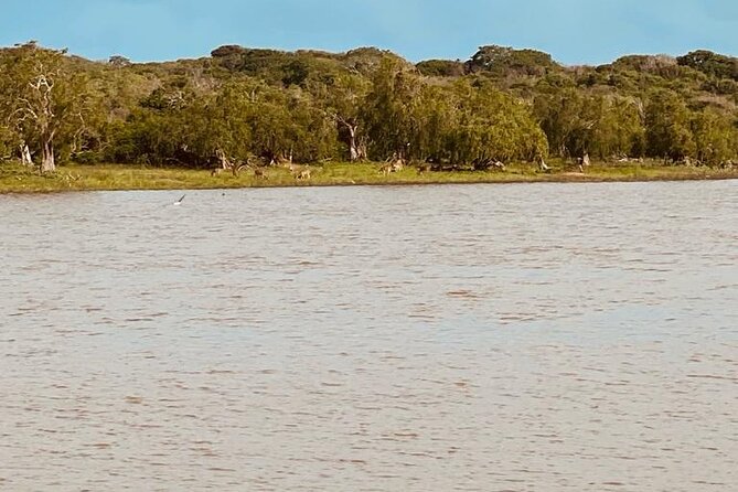 Yala Private Safari Jeep Half Day - FAQs