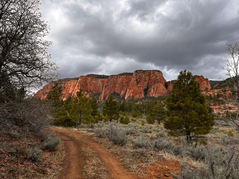 Zion National Park 5-hour Tour: Hike and Drive - What’s Included & What’s Not