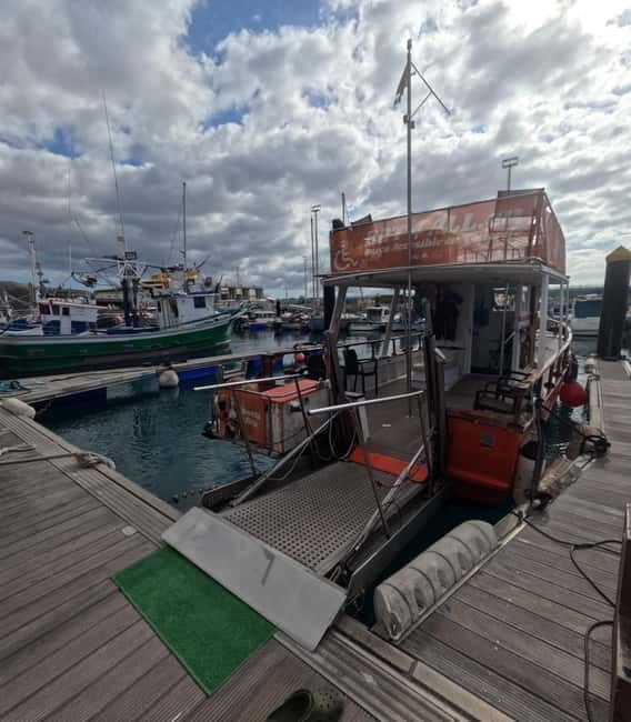 3H Shared Barrier-Free Cruise with Turtles Dolphins & Whales - The Itinerary in Detail
