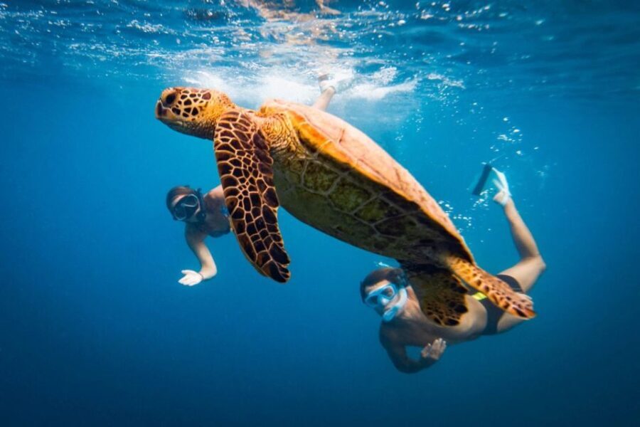 3h Snorkeling tour: Marianna shipwreck- Parthena- Kastraki - What Makes This Snorkeling Tour Stand Out