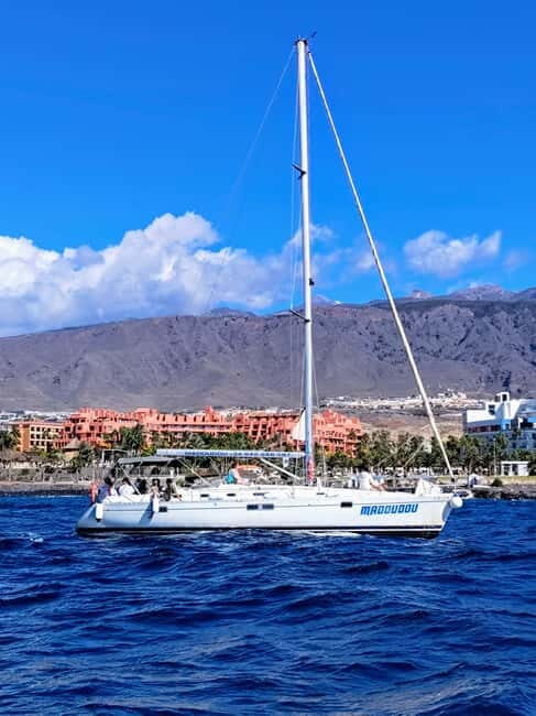3h Whale Watching Private tour Beneteau Oceanis 440 - Detailed Itinerary Breakdown
